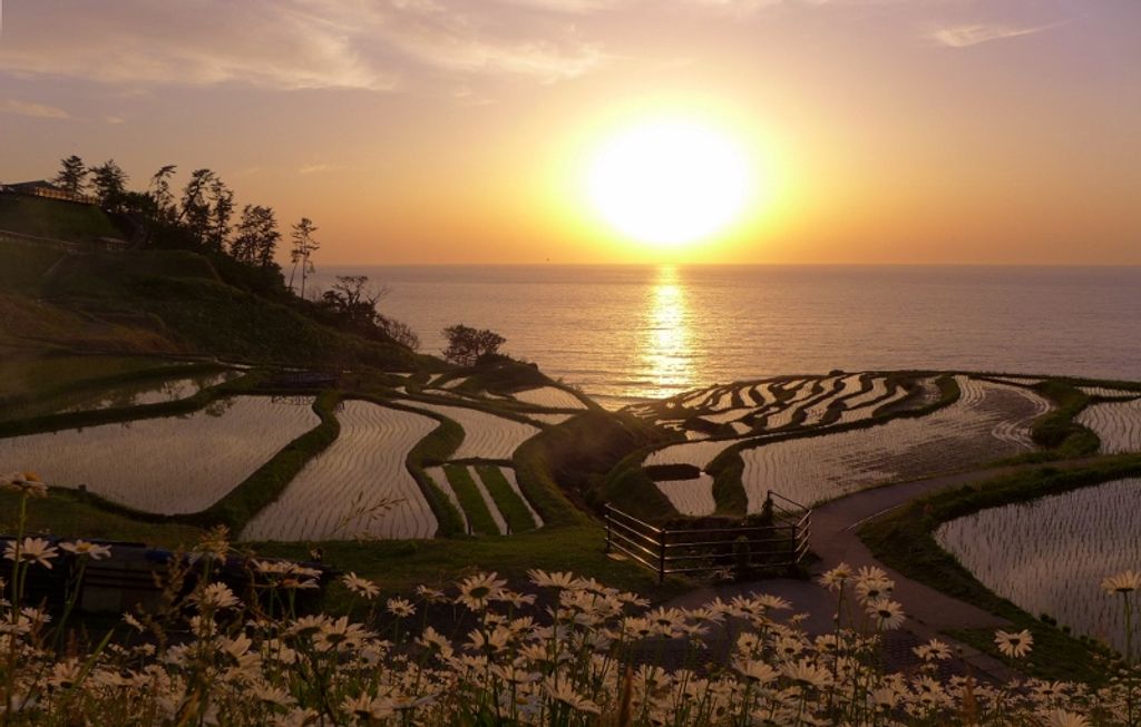 Top Things to do and places to visit in Gifu | GoWithGuide