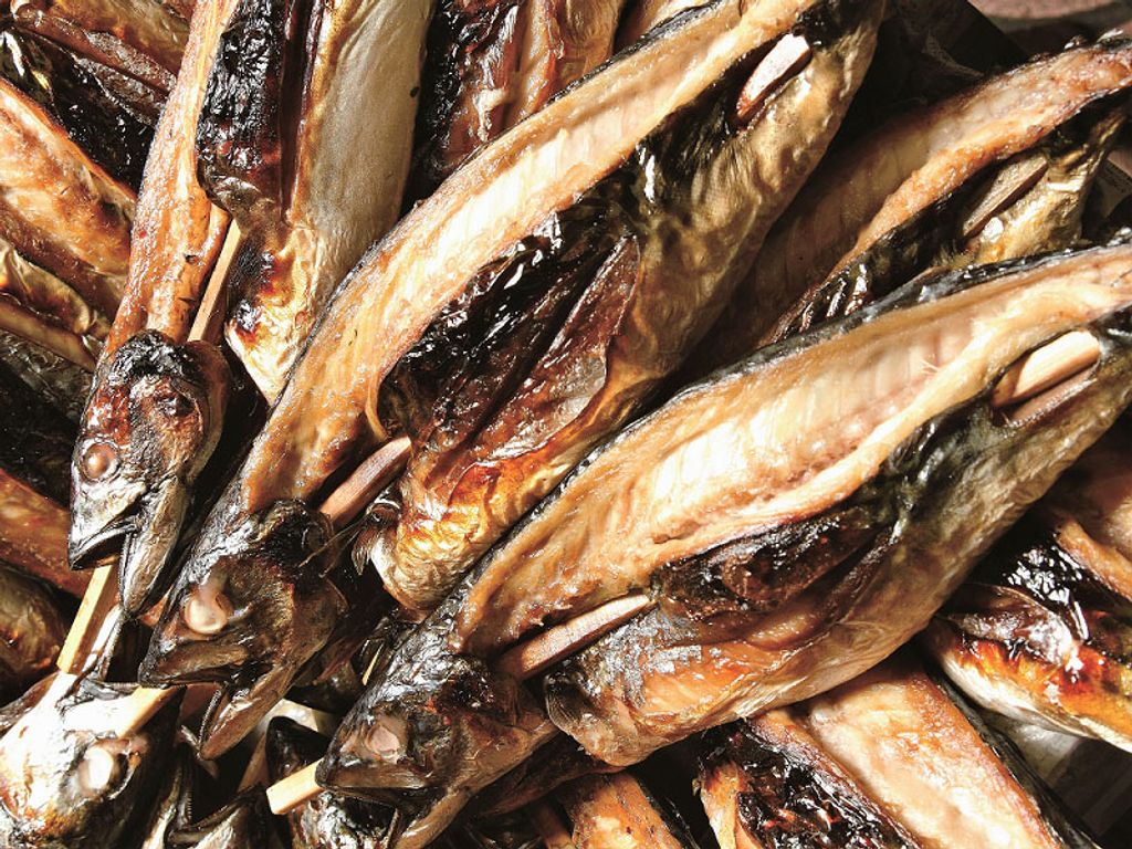 Top Things to do and places to visit in Gifu | GoWithGuide